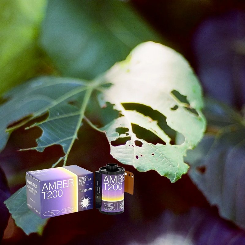 AMBER - T200 35mm Color Negative Film 27exp - Shop pandacamera-hk Cameras - Pinkoi
