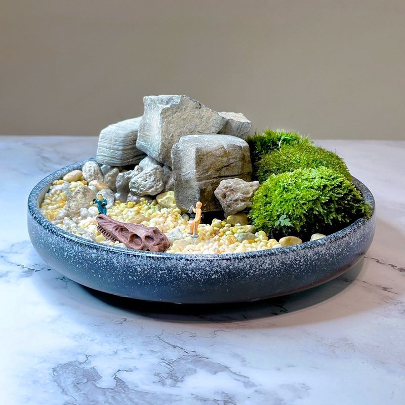 新手入門DIY - 微景觀野趣盆 / 祥龍呈瑞 - 設計館 本草崗木 盆栽/花藝 - Pinkoi