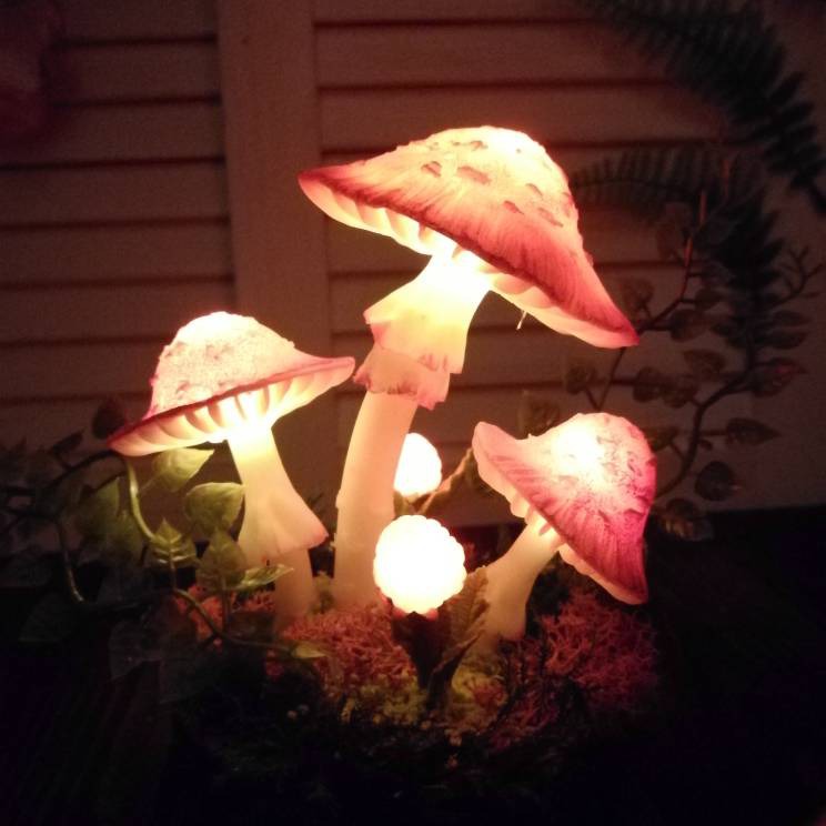 Magic Night Lights | Pinkoi | Designer Brands