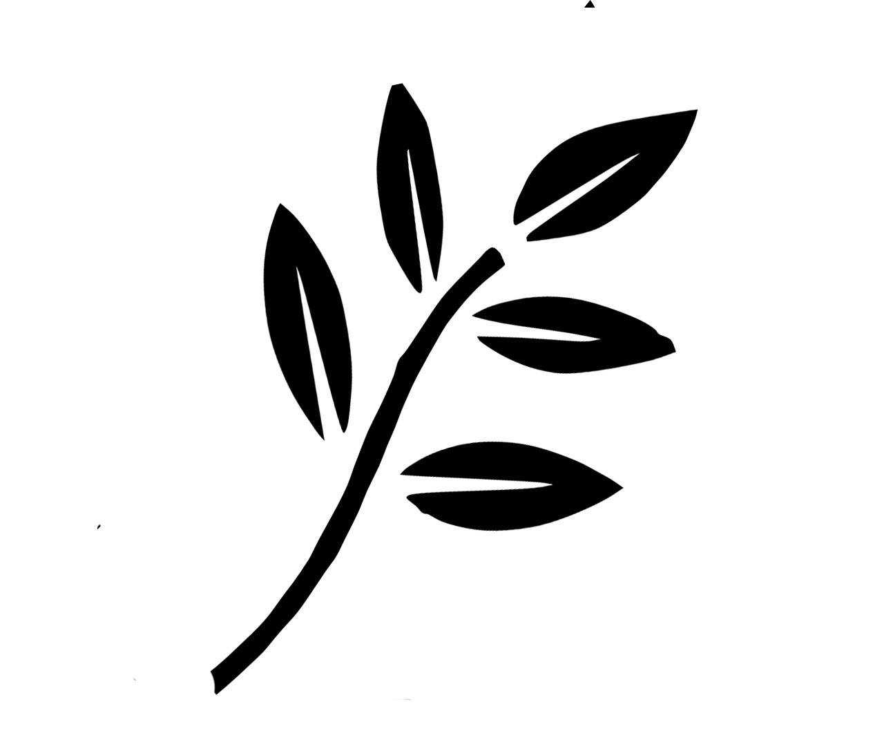 Sikatow工紡 - 官方線上商店 | Pinkoi 全系列好評上架中