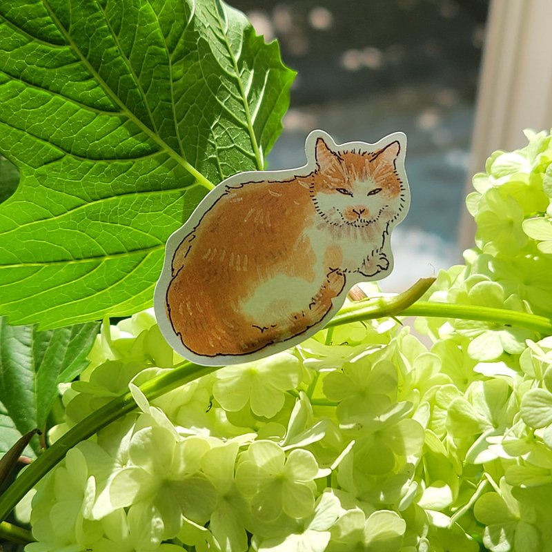 Poo-Nay-Nay II Sticker Kim Sswang｜貼紙人氣榜 - Pinkoi