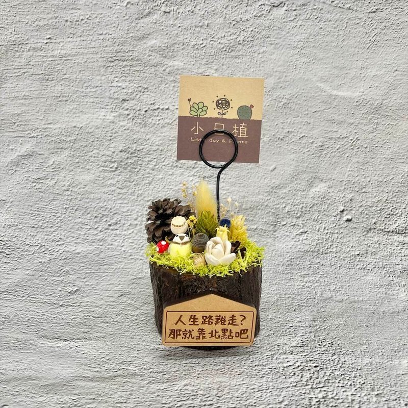 光芒-乾燥花微景觀盆栽(附磁鐵字牌) 小日植│多肉植物 乾燥花 雷雕小物｜乾燥花/永生花人氣榜 - Pinkoi