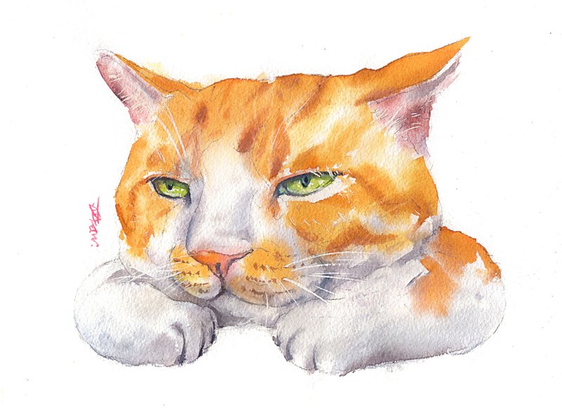 水彩原畫【厭世橘貓】 詞不DA藝｜壁貼/牆壁裝飾人氣榜 - Pinkoi
