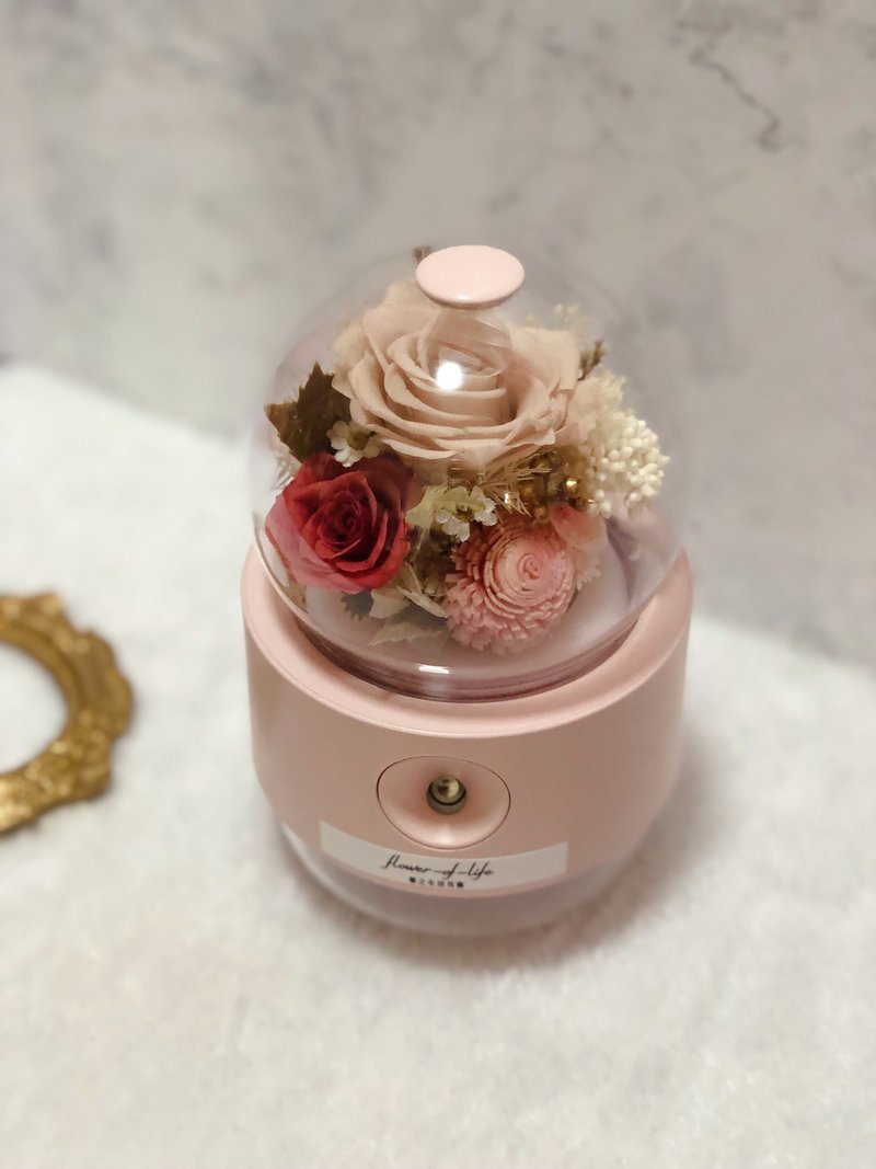 [Birthday gift] Eternal Flower Music Humidifier Nude Rose Fragrance ...