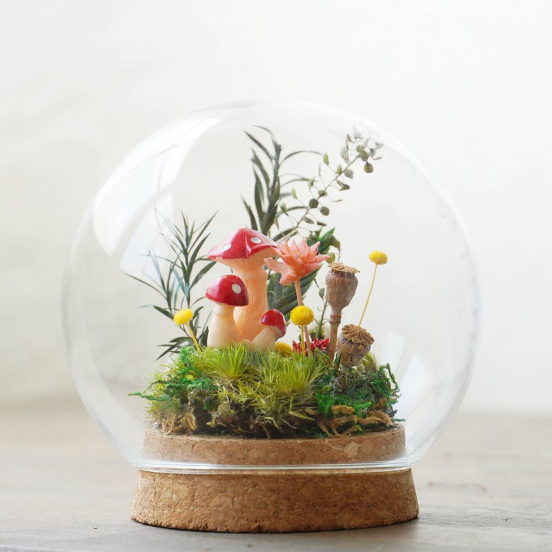 【DIY材料包】做一顆永生苔球森林玻璃球座/ 附簡易說明書電子檔 SUN 風格花物｜花藝/盆栽/植栽人氣榜 - Pinkoi