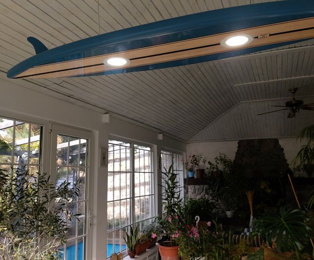 Surfboard Ceiling Fan With Light | Shelly Lighting