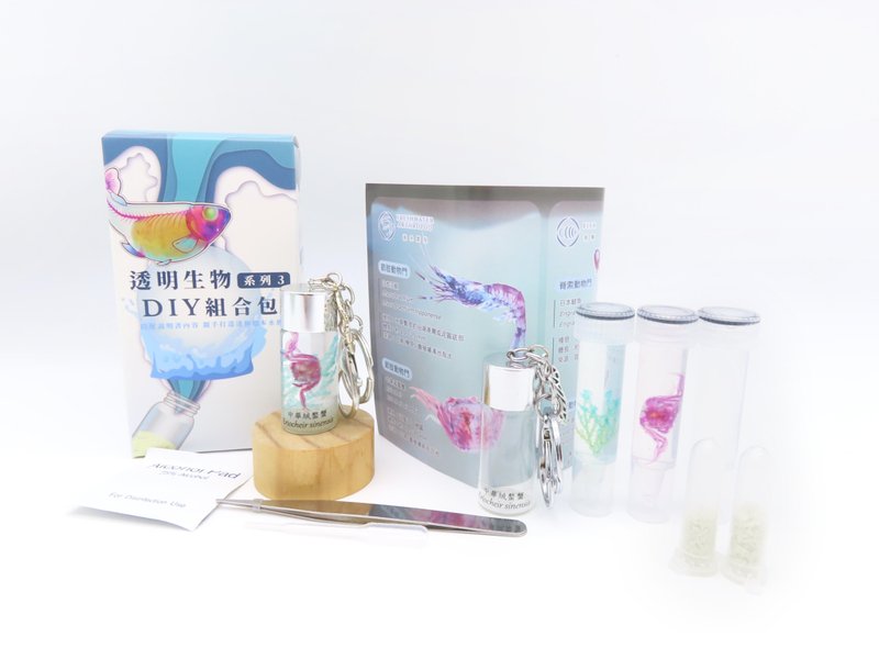 MINI world scape 系列-微造景透明生物夜光鑰匙圈組合包(全5種) Fish Heart 魚心標本藝術｜其他人氣榜 - Pinkoi