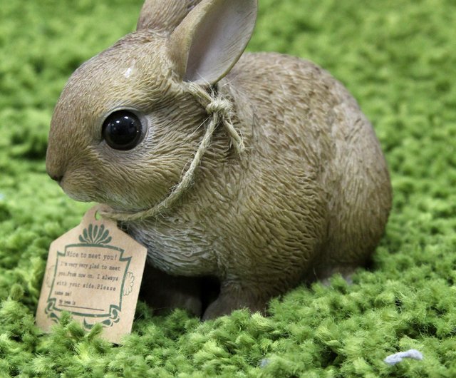 Super Cute Bunny Rabbit