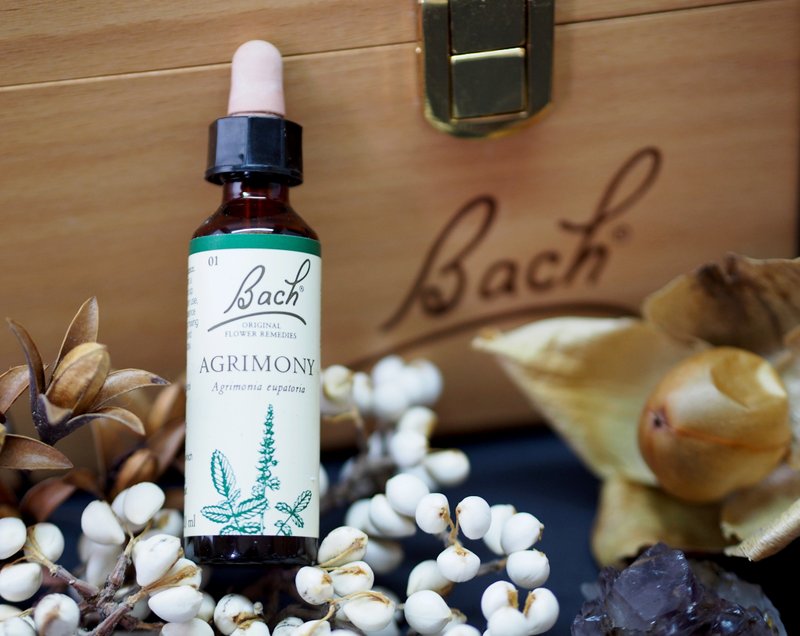 【體驗】Lesley Lin專屬賣場-【花精諮詢】專屬個人調配瓶 羽葉森｜攝影/心靈/講座人氣榜 - Pinkoi