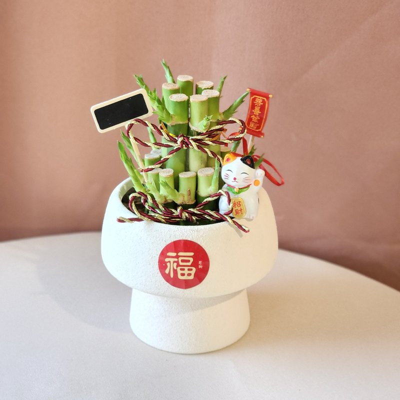 Customer-ordered potted plants (please do not place orders unless you are the person) - Shop ...