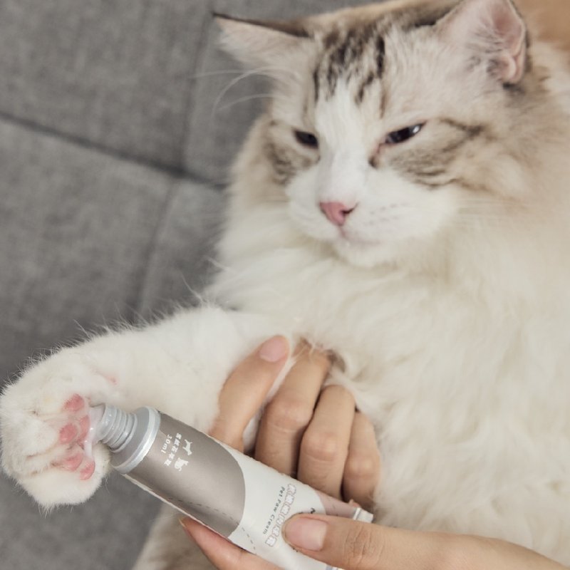 MAO&ME 毛極品】軟嫩嫩肉球霜 狗肉球護理 貓肉球保養 MAO&ME 毛極品｜其他人氣榜 - Pinkoi