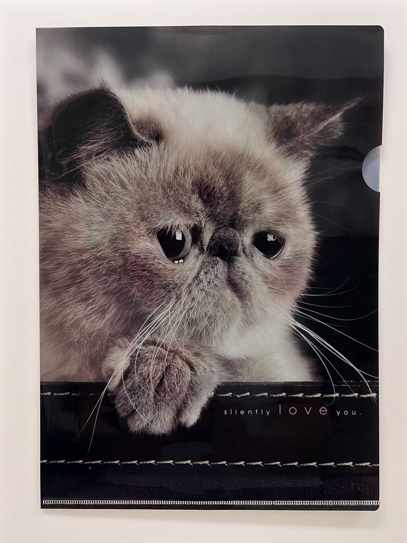 貓咪A4文件夾 Moomen10｜文件夾/資料夾人氣榜 - Pinkoi