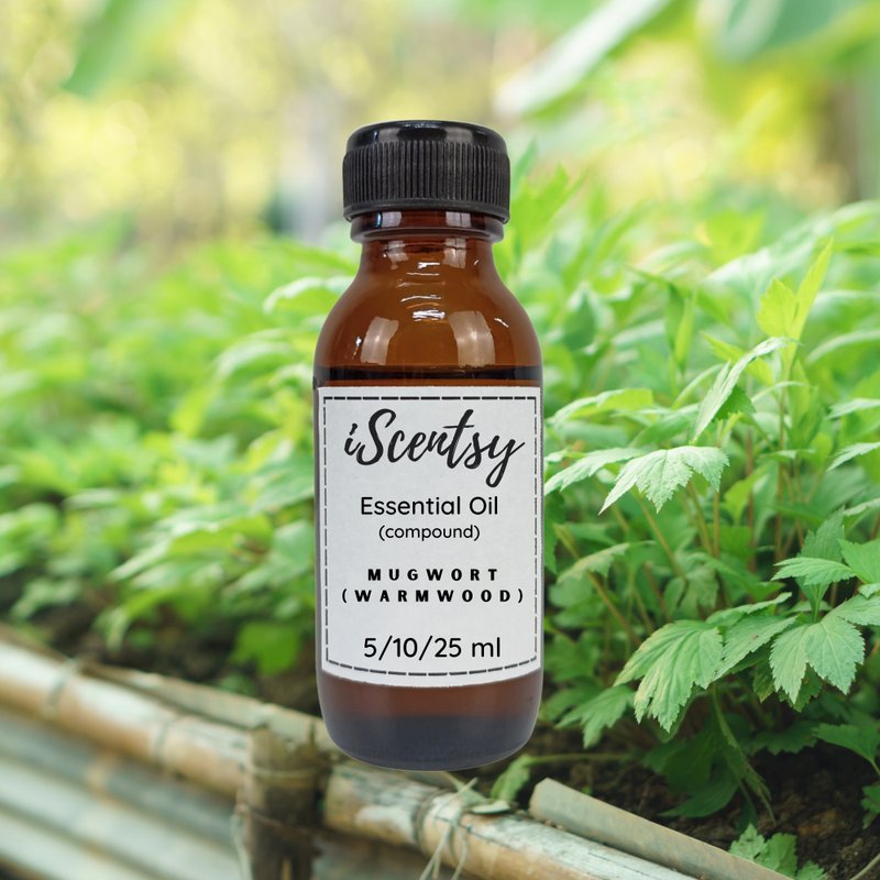 Thai Pure & Natural Essential Oil: Mugwort (Warmwood) Essential Oil 100 ...