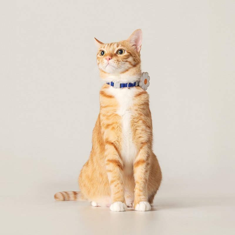 【tails&me 尾巴與我】新經典系列 貓安全項圈(雙色 共6色) tails&me 尾巴與我｜項圈/牽繩人氣榜 - Pinkoi