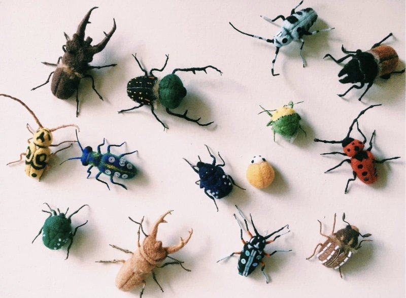 【Workshop(s)】Memory Specimen - Insect Wool Felt - Shop PressPlay ...