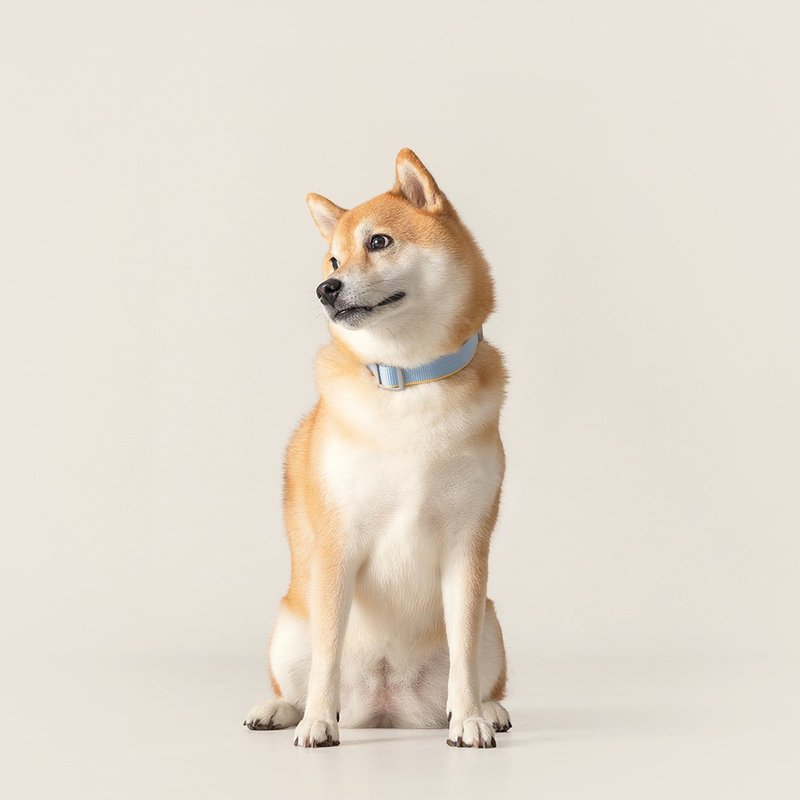 【tails&me 尾巴與我】新經典系列 犬項圈(雙色 共6色) tails&me 尾巴與我｜項圈/牽繩人氣榜 - Pinkoi