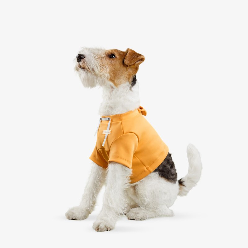 bump up【Crop Hoodie】高腰衛衣寵物狗狗衣服 bump up｜寵物衣服人氣榜 - Pinkoi