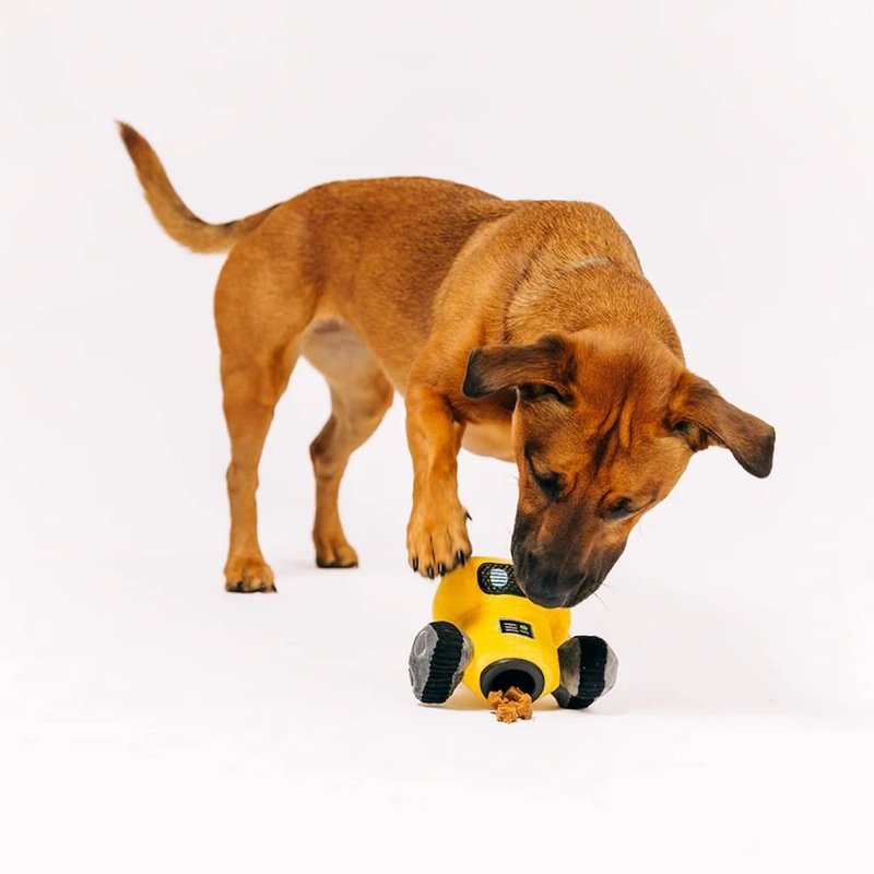 【P.L.A.Y. 星際藝工 Alien Buddies】3款造型 寵物陪伴、抗憂鬱 PLAY寵物生活館 - Pinkoi 限時優惠活動