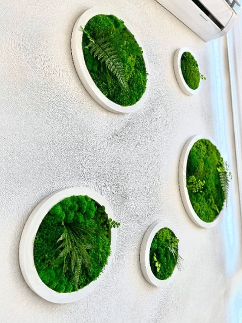 Moss circle, Green wood art round, Moss picture, preserved moss wall art GreenDecorFl｜壁貼/牆壁裝飾人氣榜 ...