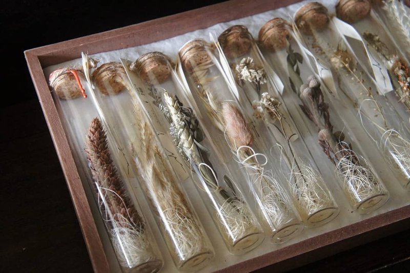 Dried Flower Specimen Test Tube - Shop Emyu Studio Items for Display ...