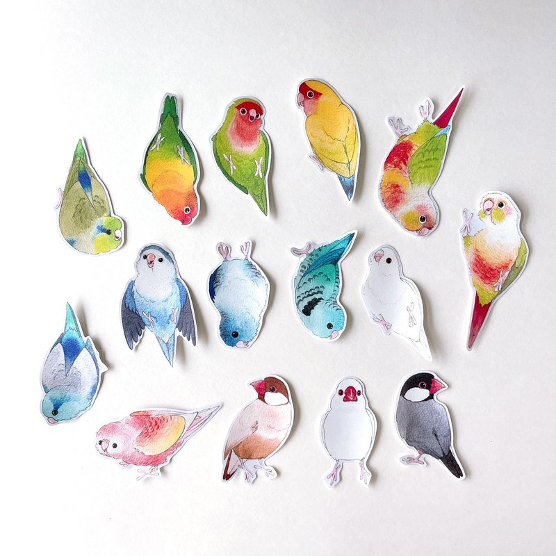 Rolia's Handmade Wisteria Flower/Parrot/Bird (Play) Waterproof ...