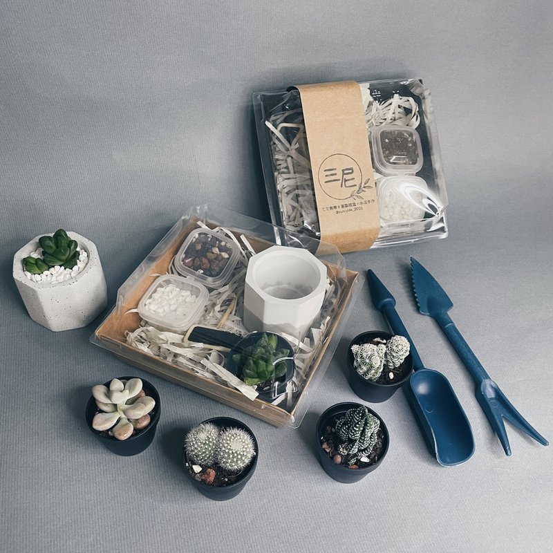 【DIY材料包】多肉植物水泥盆DIY禮盒 / 交換禮物 / 聖誕禮物 Sunnylife 三尼美學 | 水泥手作｜花藝/盆栽/植栽人氣榜 ...