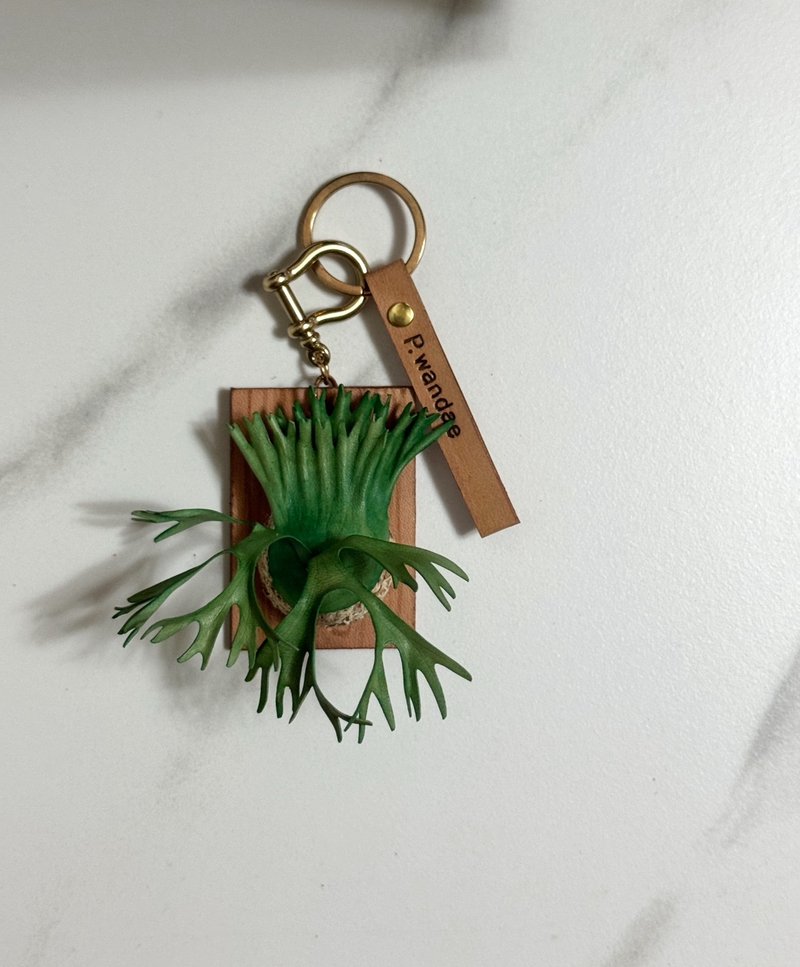 Queen Staghorn Fern Leather Charm - Shop elephant-garden Charms - Pinkoi