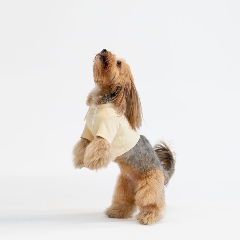 bump up【Crop Hoodie】高腰衛衣寵物狗狗衣服 bump up｜寵物衣服人氣榜 - Pinkoi
