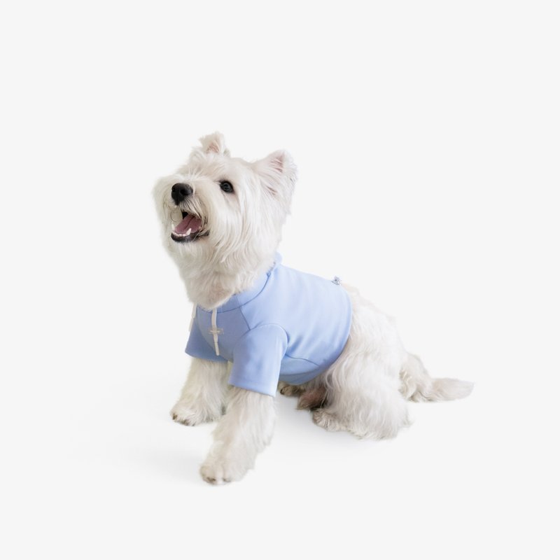 bump up【Crop Hoodie】高腰衛衣寵物狗狗衣服 bump up｜寵物衣服人氣榜 - Pinkoi