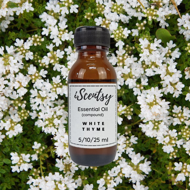 Thai Pure & Natural Essential Oil: White Thyme Essential Oil 100% ...