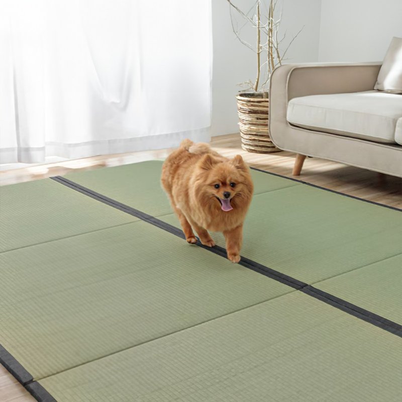 Water-Repellent Tatami Mat Square - Shop ikehiko-tw Rugs & Floor Mats - Pinkoi