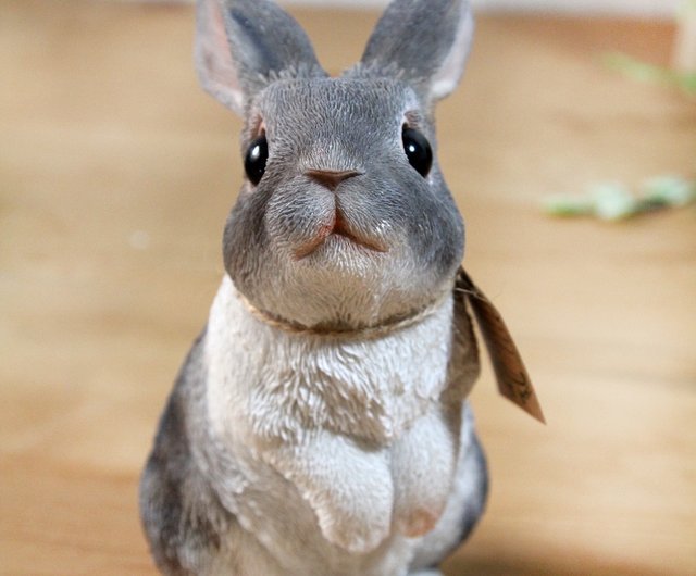 Super Cute Bunny Rabbit