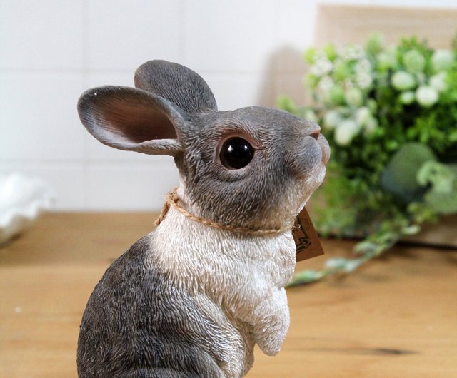 Super Cute Bunny Rabbit