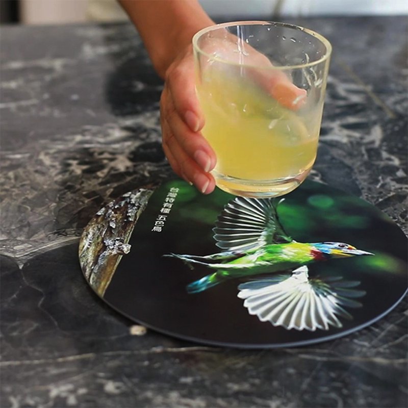 液態矽膠鍋墊 可水洗隔熱墊-五色鳥款 PADPAD 墊一店｜餐桌布/桌巾/餐墊人氣榜 - Pinkoi