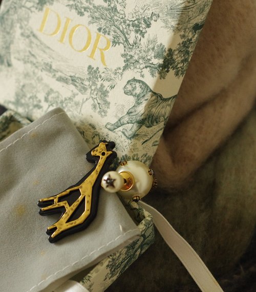 Dior giraffe earrings store