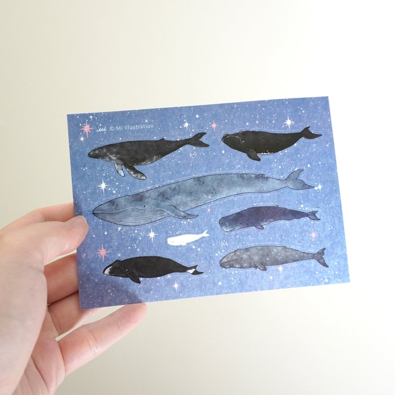 鯨魚亮膜貼紙 Mik Li Art｜貼紙人氣榜 - Pinkoi