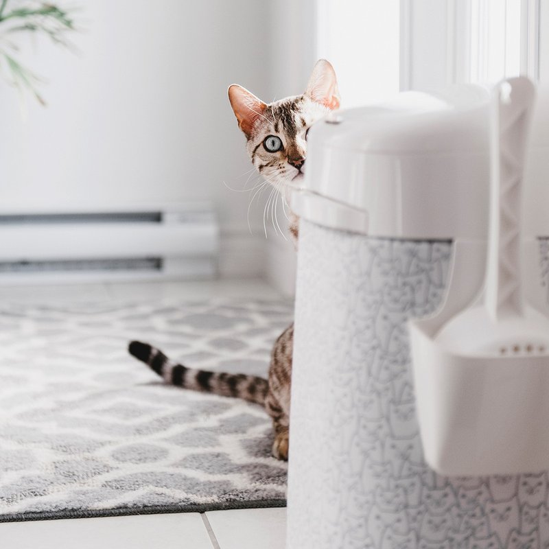 Cat Group Model - Cat Lock Toilet Barrel Clothes - [Only with patented ...