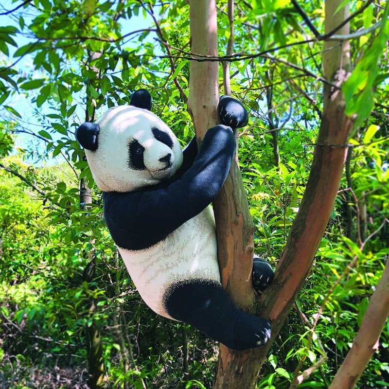 頑皮的小熊貓豆袋 Chic Sin Design｜椅子/沙發人氣榜 - Pinkoi