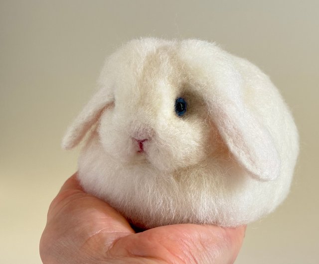 American White Rabbit