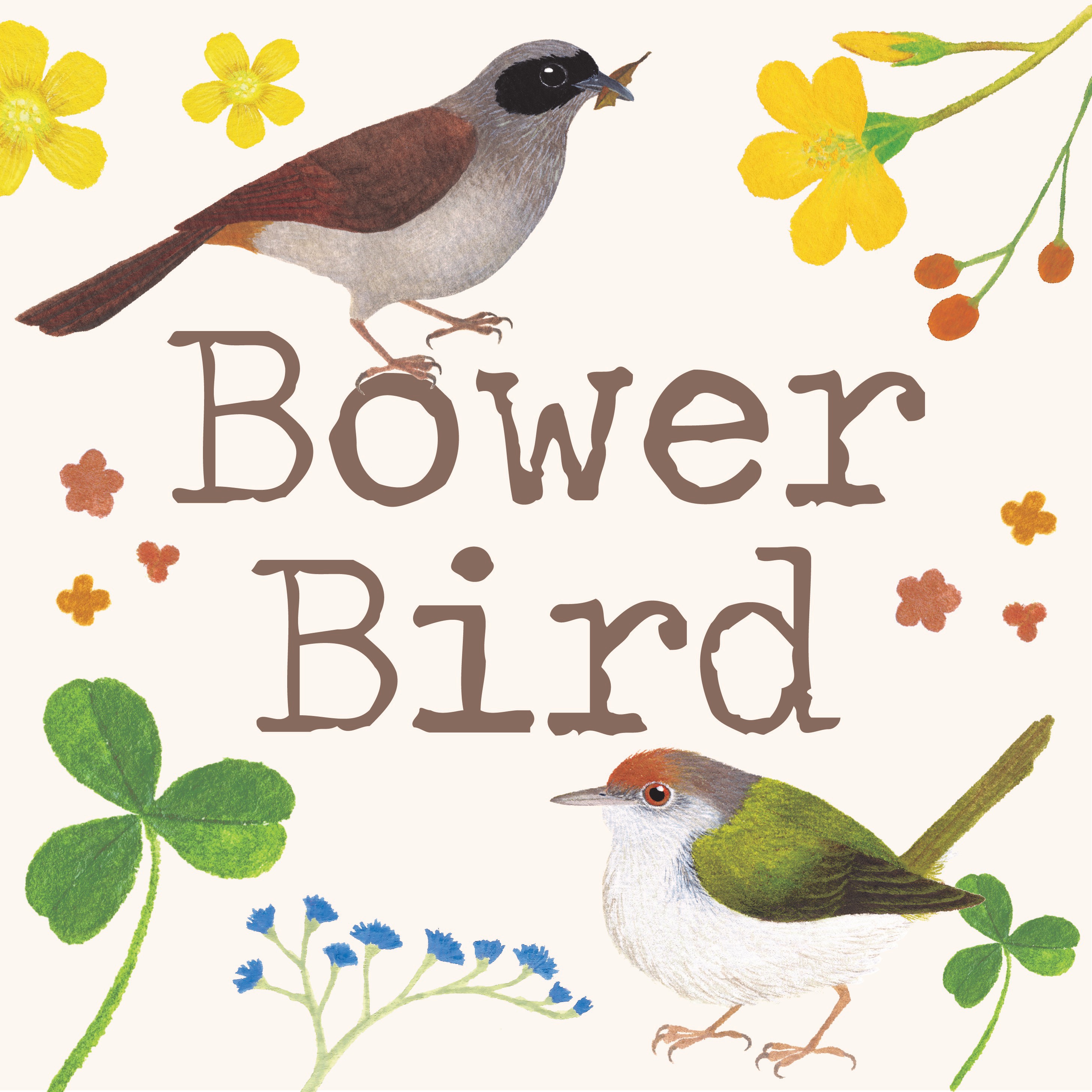 園丁鳥 bowerbird - 官方線上商店 | 港澳品牌 | Pinkoi