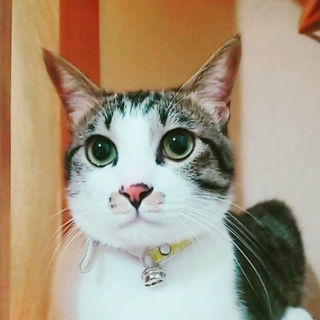 布有意思 Fun Bu - 官方線上商店 | Pinkoi 全系列好評上架中