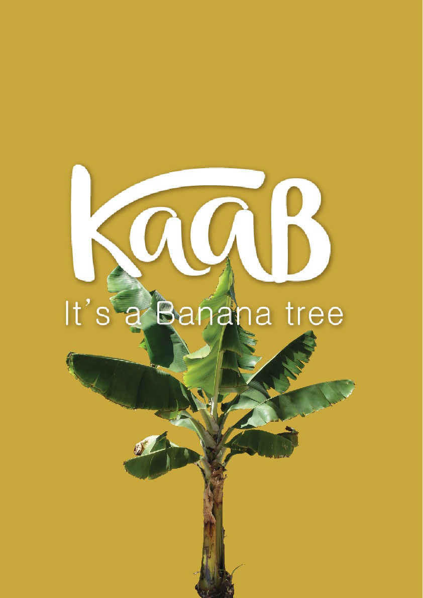 Kaab | Pinkoi | แบรนด์ของดีไซเนอร์