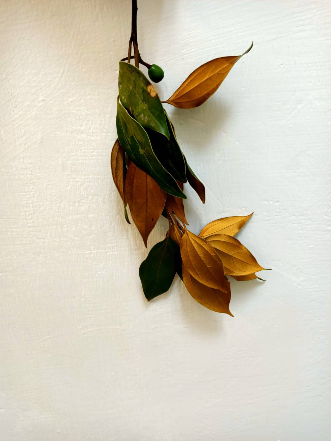 pof1026 | Pinkoi | Designer Brands