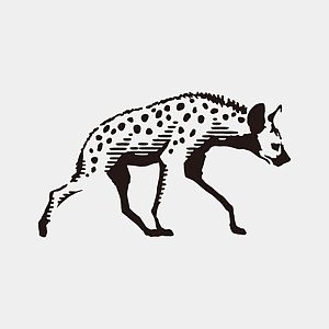 rotaoriginals - 官方線上商店 | 日本品牌 | Pinkoi